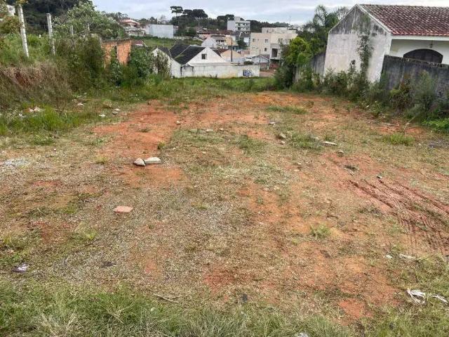 Terreno / Lote para Venda em São José dos Pinhais/PR Bom Jesus