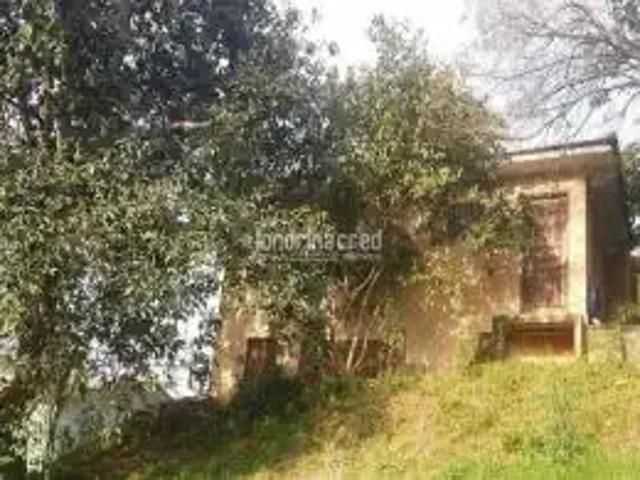 Terreno / Lote para Venda em São José dos Pinhais/PR Bom Jesus
