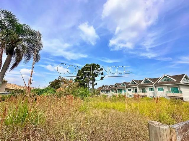 Terreno / Lote para Venda em São José dos Pinhais/PR Bom Jesus