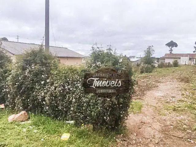 Terreno / Lote para Venda em São José dos Pinhais/PR Borda do Campo