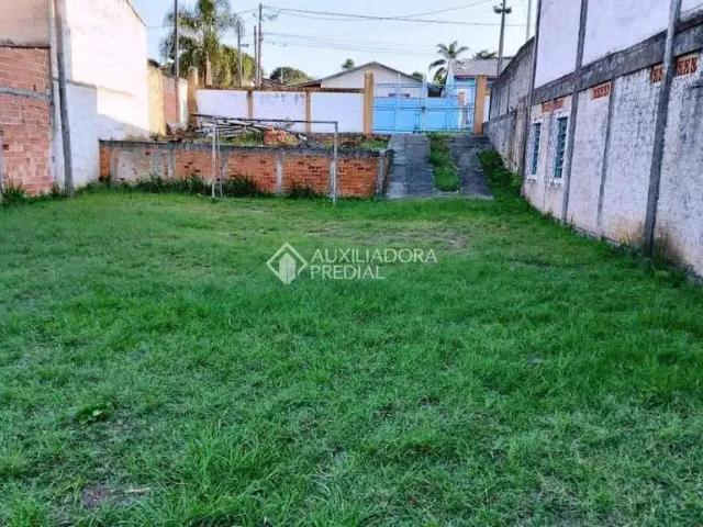 Terreno / Lote para Venda em São José dos Pinhais/PR Borda do Campo