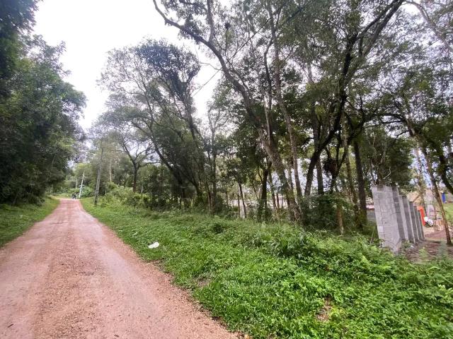 Terreno / Lote para Venda em São José dos Pinhais/PR Borda do Campo