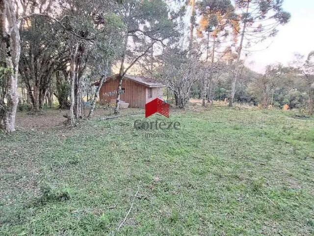 Terreno / Lote para Venda em São José dos Pinhais/PR Borda do Campo