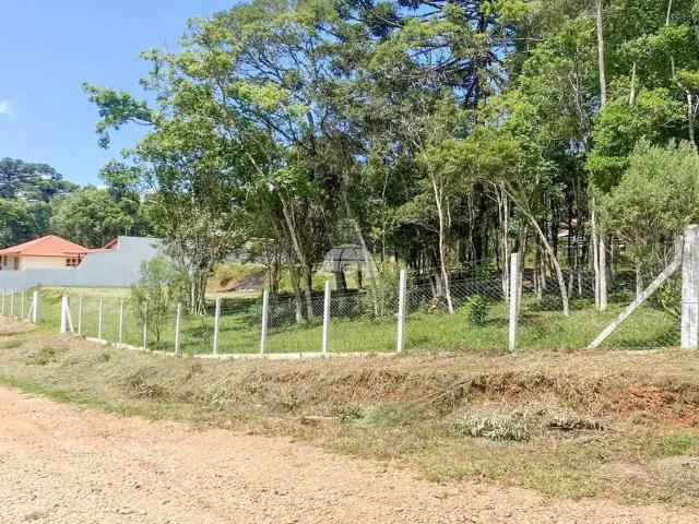 Terreno / Lote para Venda em São José dos Pinhais/PR Borda do Campo