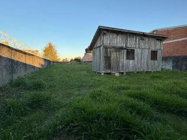 Terreno / Lote para Venda em São José dos Pinhais/PR Braga