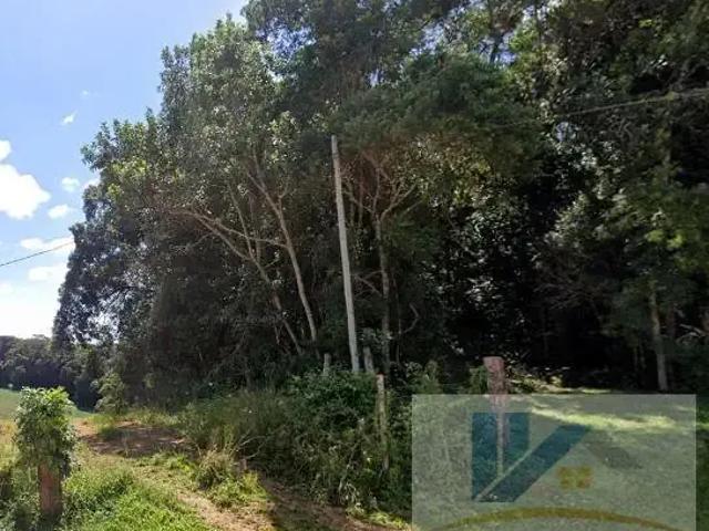Terreno / Lote para Venda em São José dos Pinhais/PR Campestre da Faxina