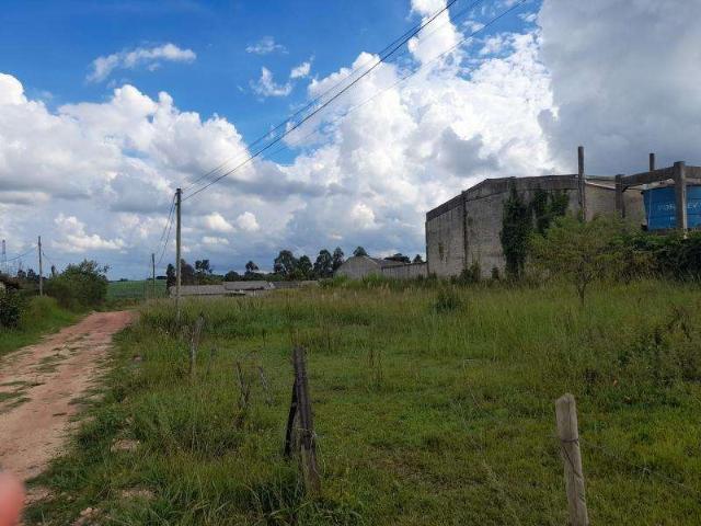 Terreno / Lote para Venda em São José dos Pinhais/PR Campina do Taquaral 1 Quartos