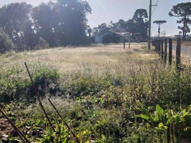 Terreno / Lote para Venda em São José dos Pinhais/PR Campina do Taquaral