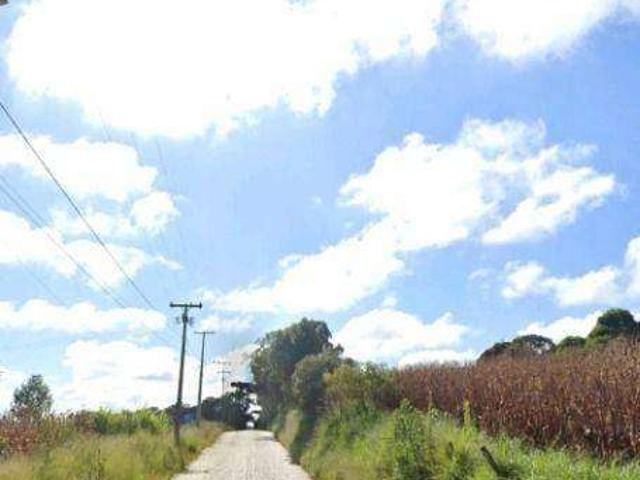 Terreno / Lote para Venda em São José dos Pinhais/PR Campina do Taquaral