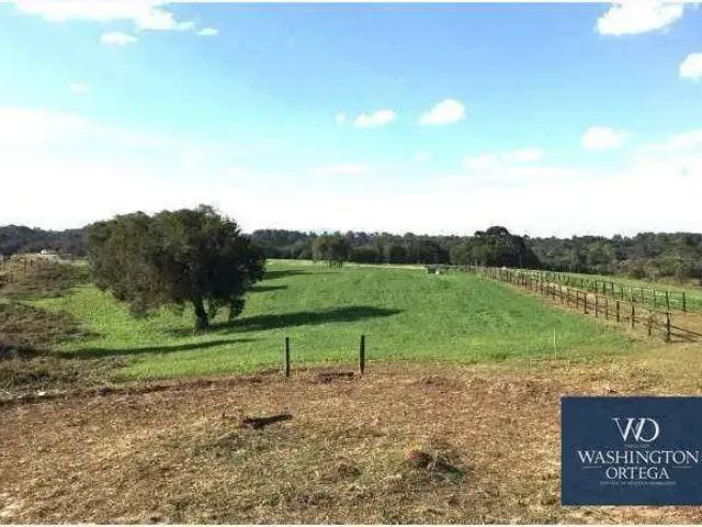 Terreno / Lote para Venda em São José dos Pinhais/PR Campo Largo da Roseira