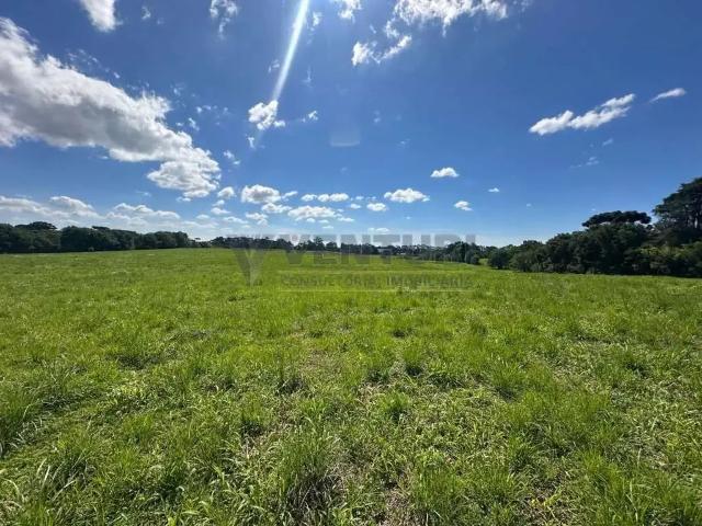 Terreno / Lote para Venda em São José dos Pinhais/PR Campo Largo da Roseira