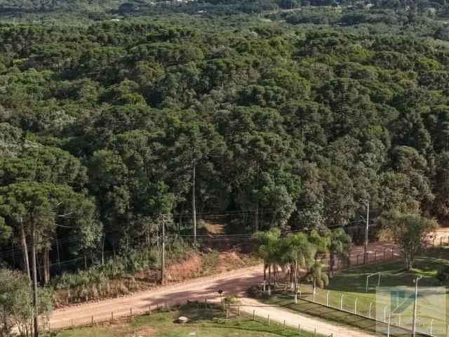 Terreno / Lote para Venda em São José dos Pinhais/PR Campo Largo da Roseira