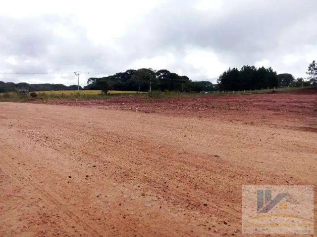Terreno / Lote para Venda em São José dos Pinhais/PR Campo Largo da Roseira