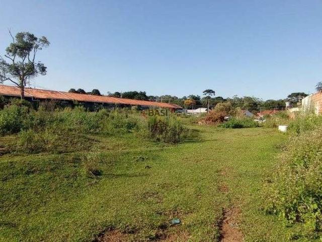 Terreno / Lote para Venda em São José dos Pinhais/PR Campo Largo da Roseira