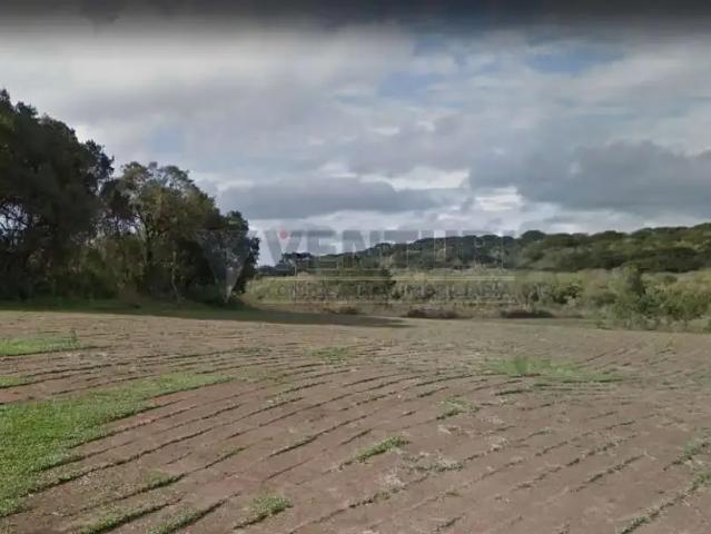 Terreno / Lote para Venda em São José dos Pinhais/PR Campo Largo da Roseira