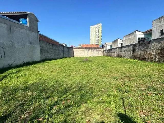 Terreno / Lote para Venda em São José dos Pinhais/PR Centro