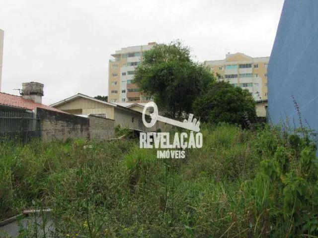 Terreno / Lote para Venda em São José dos Pinhais/PR Centro