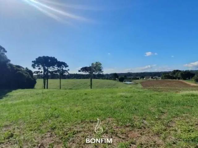 Terreno / Lote para Venda em São José dos Pinhais/PR Colônia Murici