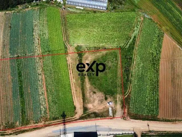Terreno / Lote para Venda em São José dos Pinhais/PR Colônia Murici