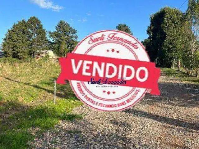 Terreno / Lote para Venda em São José dos Pinhais/PR Colônia Murici