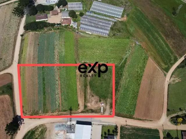 Terreno / Lote para Venda em São José dos Pinhais/PR Colônia Murici