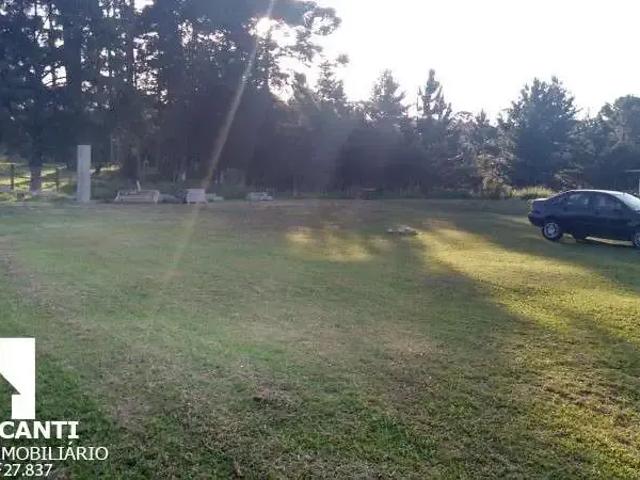 Terreno / Lote para Venda em São José dos Pinhais/PR Colônia Murici