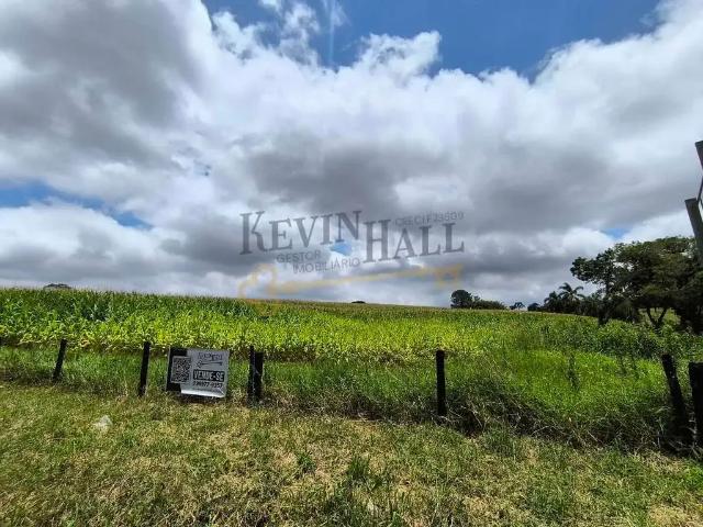 Terreno / Lote para Venda em São José dos Pinhais/PR Colônia Murici