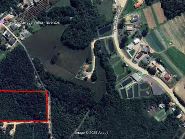 Terreno / Lote para Venda em São José dos Pinhais/PR Colônia Murici