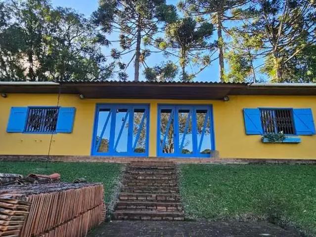 Terreno / Lote para Venda em São José dos Pinhais/PR Colônia Murici 6 Quartos