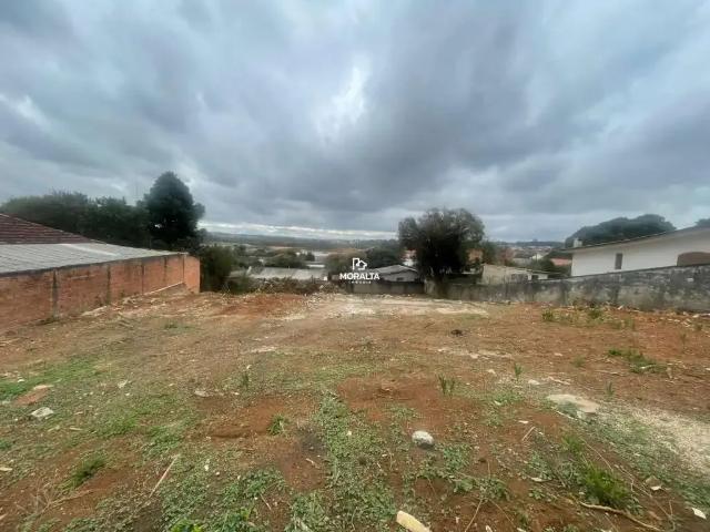 Terreno / Lote para Venda em São José dos Pinhais/PR Colônia Rio Grande
