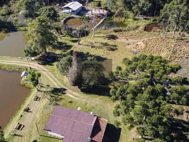 Terreno / Lote para Venda em São José dos Pinhais/PR Contenda