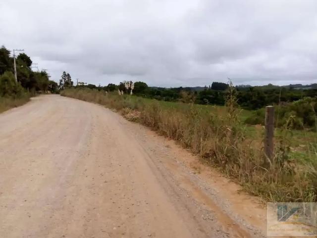 Terreno / Lote para Venda em São José dos Pinhais/PR Contenda 1 Quartos