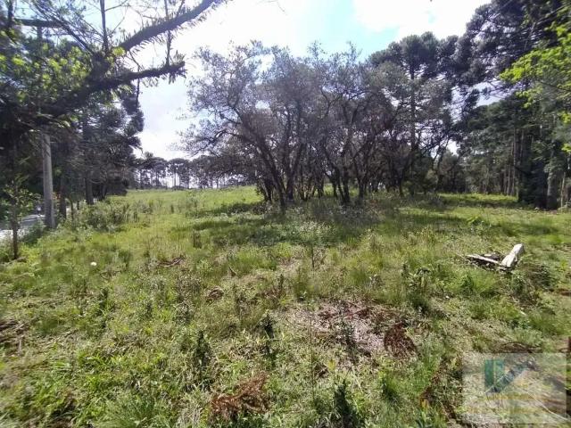 Terreno / Lote para Venda em São José dos Pinhais/PR Contenda 1 Quartos
