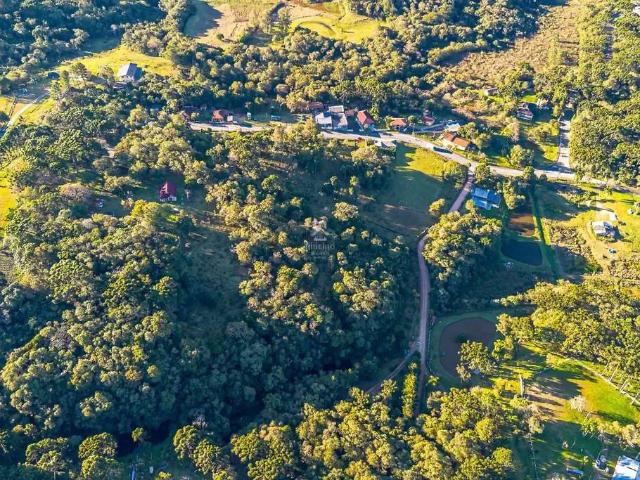 Terreno / Lote para Venda em São José dos Pinhais/PR Contenda