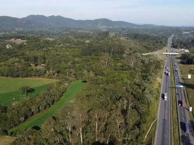 Terreno / Lote para Venda em São José dos Pinhais/PR Contenda