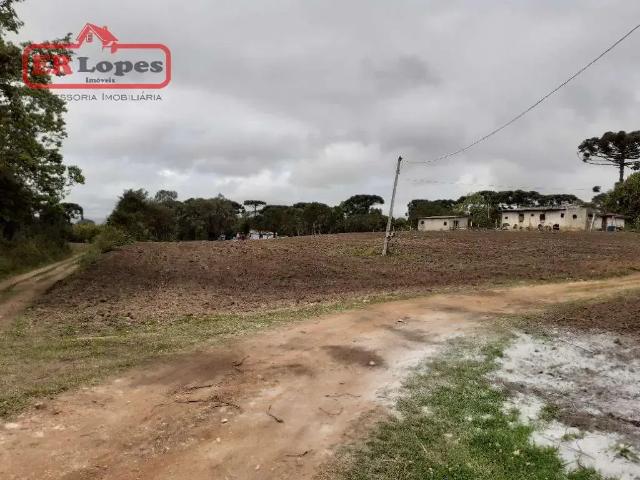 Terreno / Lote para Venda em São José dos Pinhais/PR Costeira