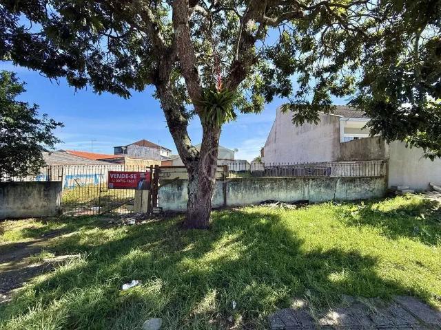Terreno / Lote para Venda em São José dos Pinhais/PR Cruzeiro