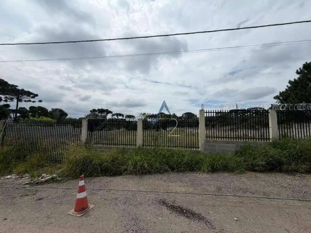 Terreno / Lote para Venda em São José dos Pinhais/PR Cruzeiro