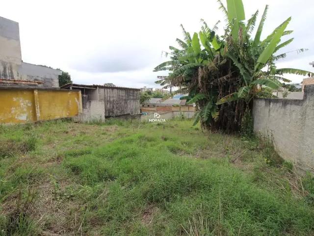 Terreno / Lote para Venda em São José dos Pinhais/PR Cruzeiro