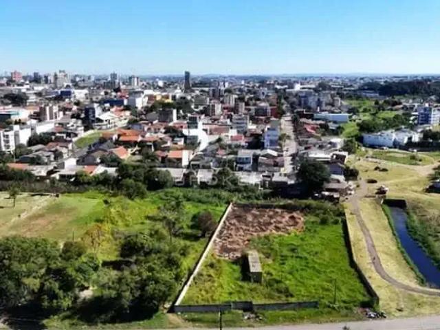 Terreno / Lote para Venda em São José dos Pinhais/PR Cruzeiro
