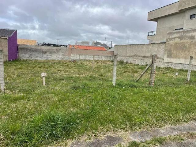 Terreno / Lote para Venda em São José dos Pinhais/PR Cruzeiro