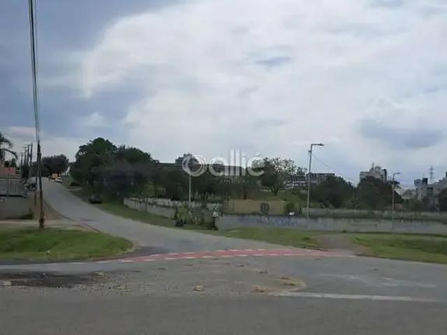 Terreno / Lote para Venda em São José dos Pinhais/PR Cruzeiro