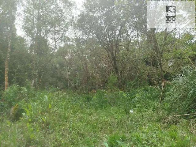 Terreno / Lote para Venda em São José dos Pinhais/PR Del Rey