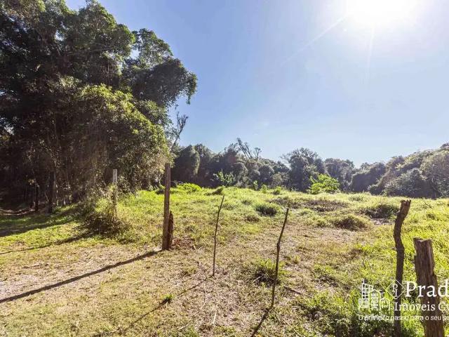 Terreno / Lote para Venda em São José dos Pinhais/PR Del Rey