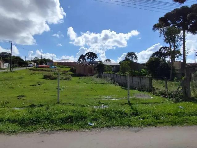 Terreno / Lote para Venda em São José dos Pinhais/PR Dom Rodrigo