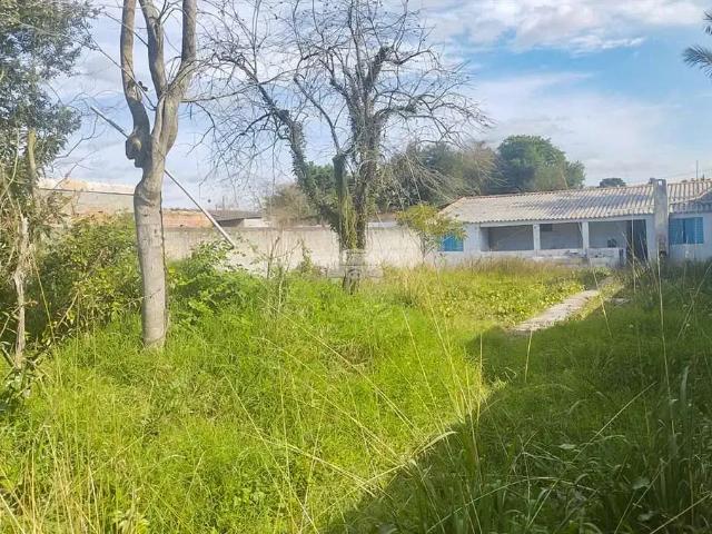 Terreno / Lote para Venda em São José dos Pinhais/PR Guatupê 3 Quartos