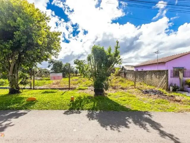 Terreno / Lote para Venda em São José dos Pinhais/PR Guatupê