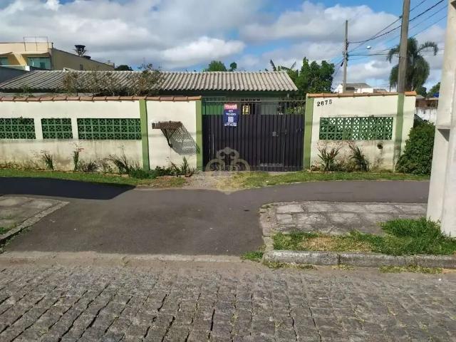 Terreno / Lote para Venda em São José dos Pinhais/PR Guatupê