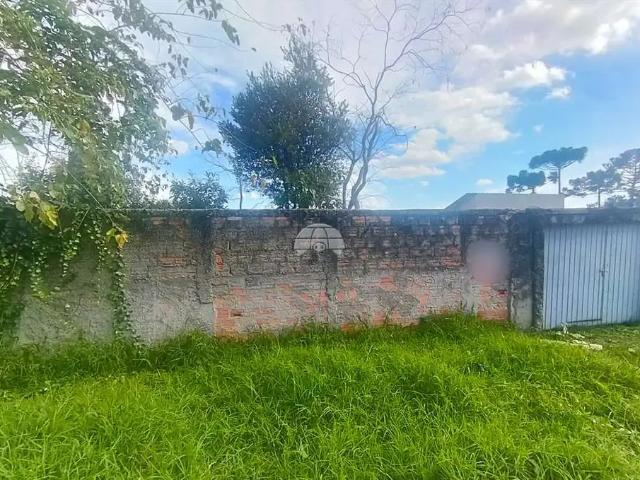 Terreno / Lote para Venda em São José dos Pinhais/PR Guatupê