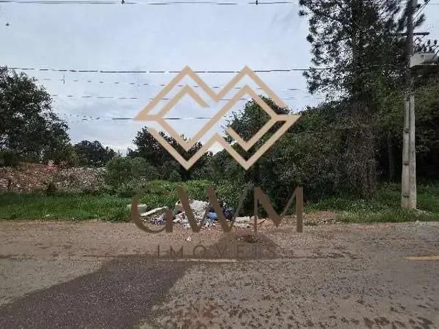 Terreno / Lote para Venda em São José dos Pinhais/PR Guatupê